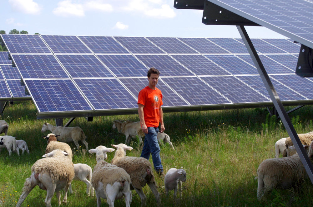 Napelemfarmokba vághatnak a hazai földművesek – Alternativ Energia