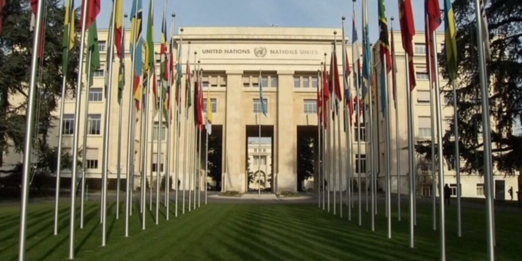 Magyar kiállítás az ENSZ székházában a fenntarthatóságról – Alternativ ...