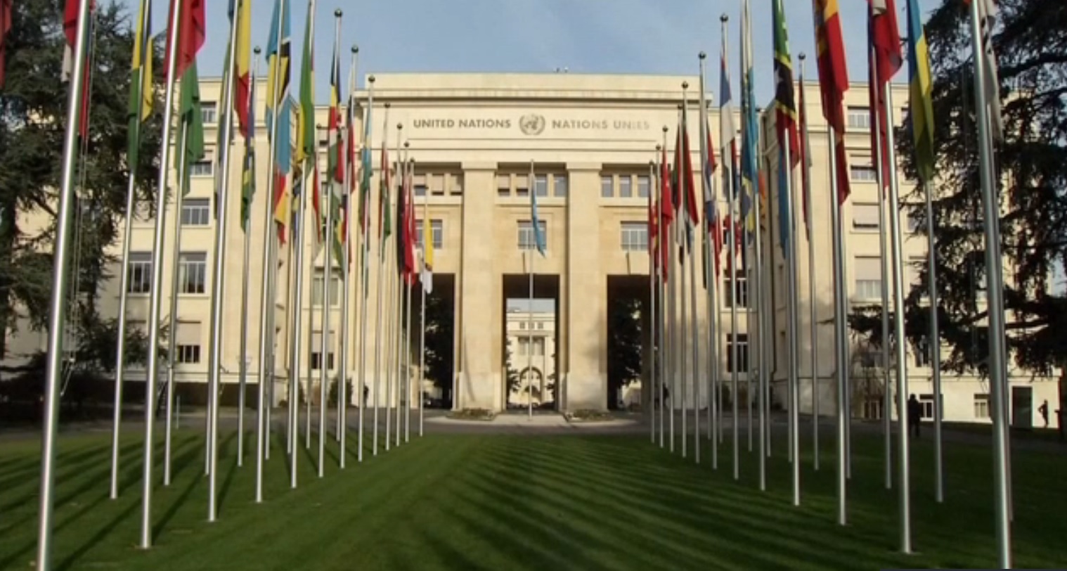 Magyar kiállítás az ENSZ székházában a fenntarthatóságról – Alternativ ...